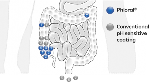 Phloral - Intract Pharma